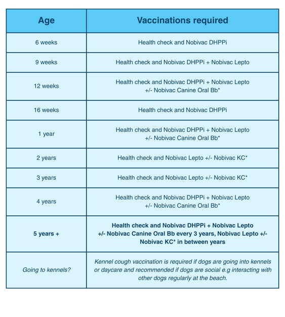 Vaccinations - The Vet Centre Northland